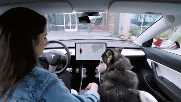 Tesla Dog Mode: Working Explained In Video - DriveSpark News