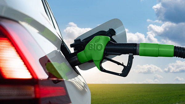 Maruti Suzuki Biofuel Cars Coming Soon: Biomethane-Powered Maruti ...