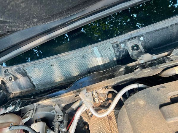 Protect Your Car From Rodents: The Ultimate Mesh Solution Guide ...