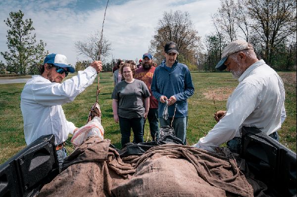 Honda Plants 85,000 Trees In Ohio To Boost Biodiversity And Capture ...