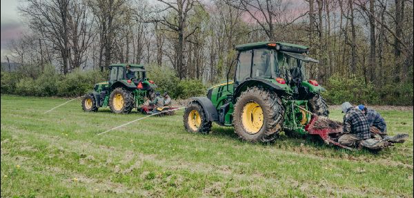 Honda Plants 85,000 Trees In Ohio To Boost Biodiversity And Capture ...