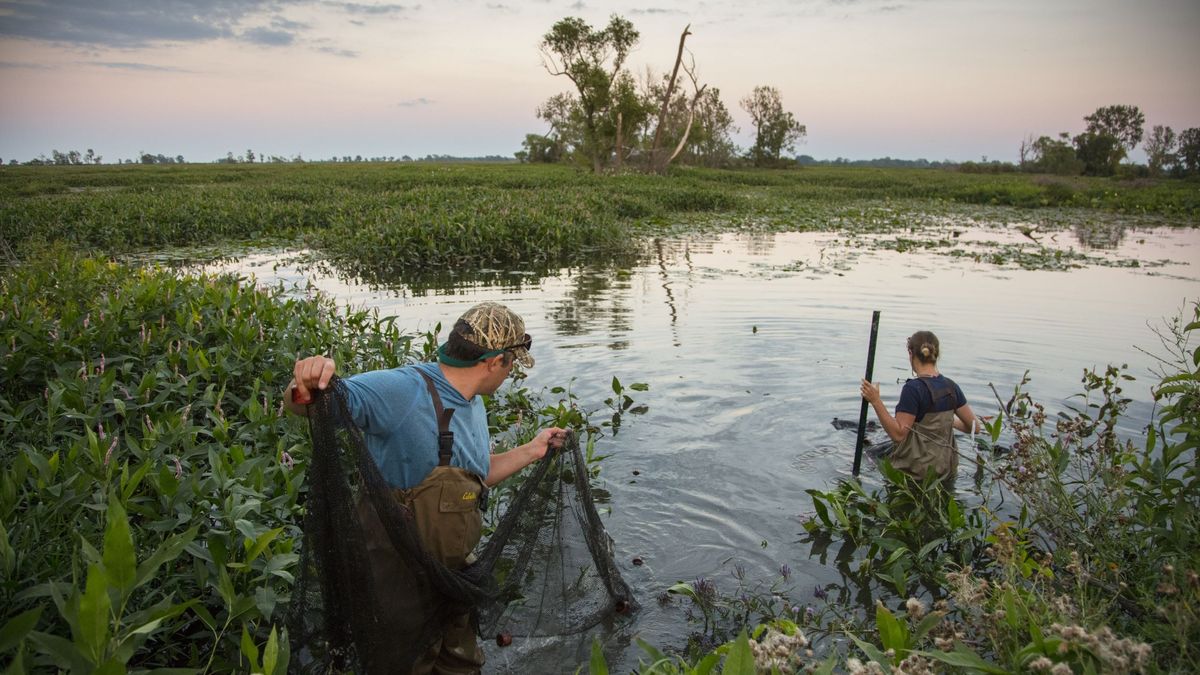 Kia America Partners With The Nature Conservancy For Freshwater ...
