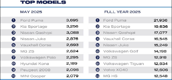 New Car Market Growth In May 2025: EV Registrations Rise - DriveSpark News