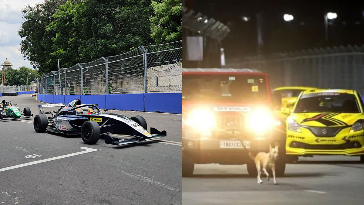 Dog Enters Chennai Formula 4 Race Track: சென்னை ரேஸ் டிராக்கில் நாய் ...