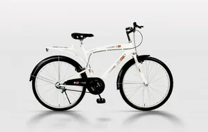 K 10 Single Speed 26t Price Specs Review Weight Speed Colours DriveSpark